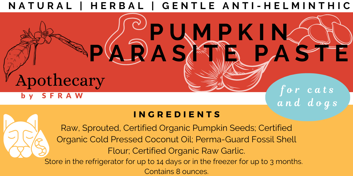Pumpkin Parasite Paste, 8 oz (frozen) – Apothecary by SFRAW