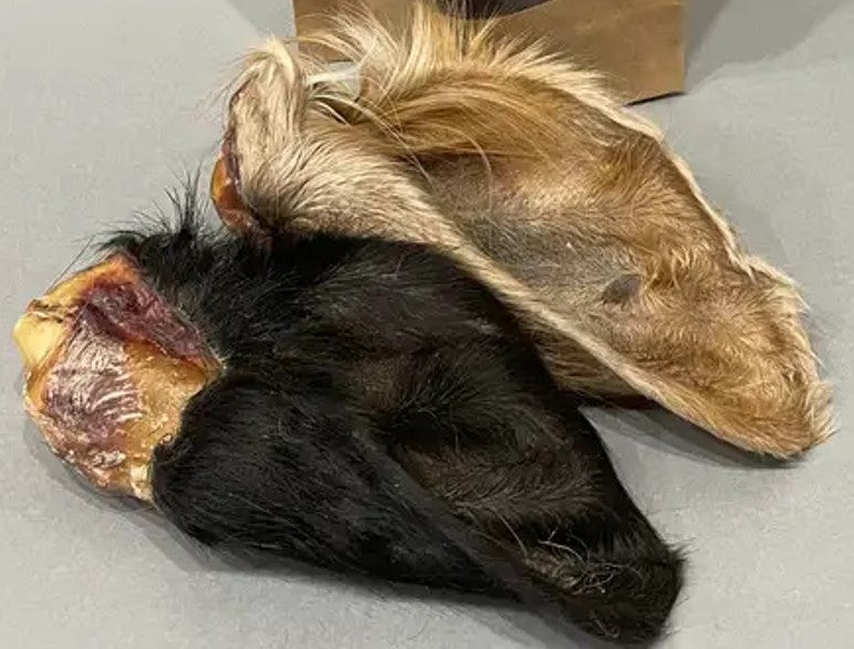 Dried Beef Ears with Fur - by the each – Apothecary by SFRAW